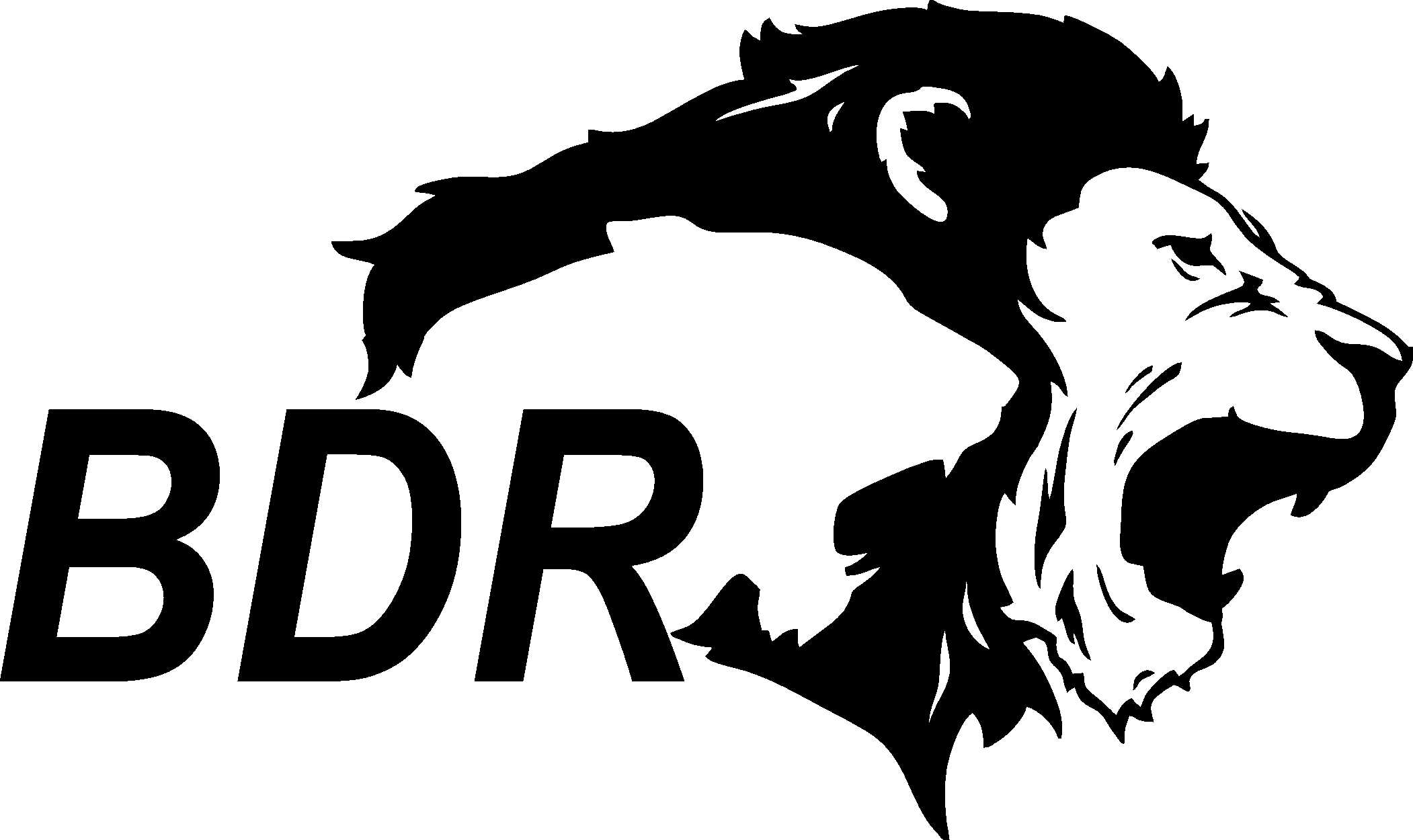 BDR Pharmaceuticals - MPP