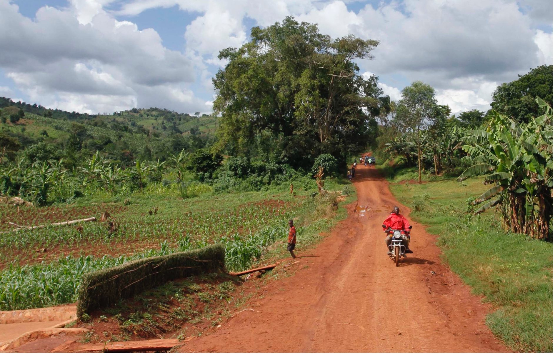 The road to equitable access - an end of year message from Charles Gore ...