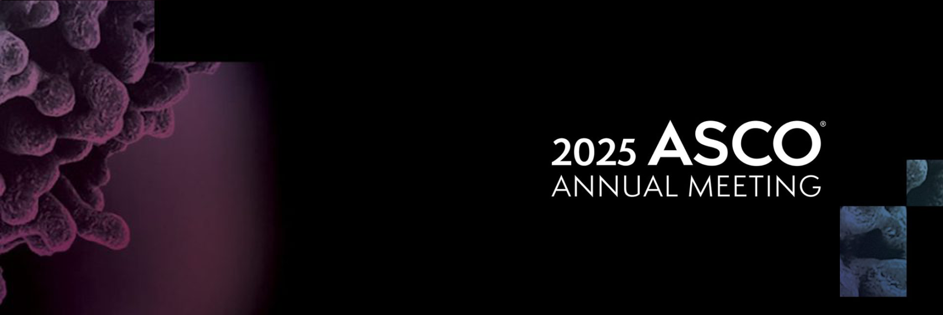 MPP participation at the 2025 ASCO Annual Meeting - MPP